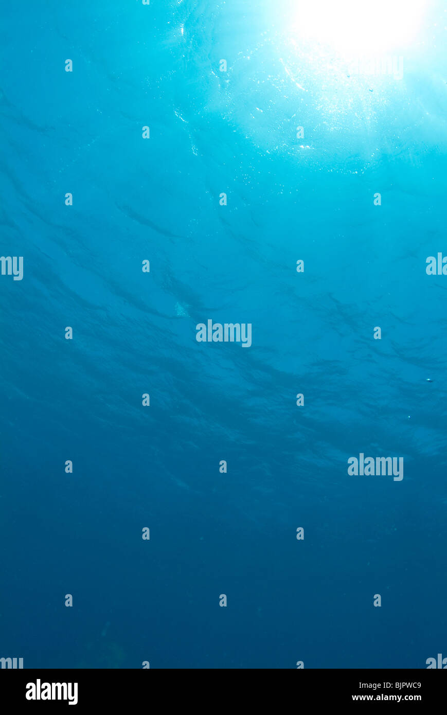 Sunlight coming from surface, underwater view Stock Photo - Alamy