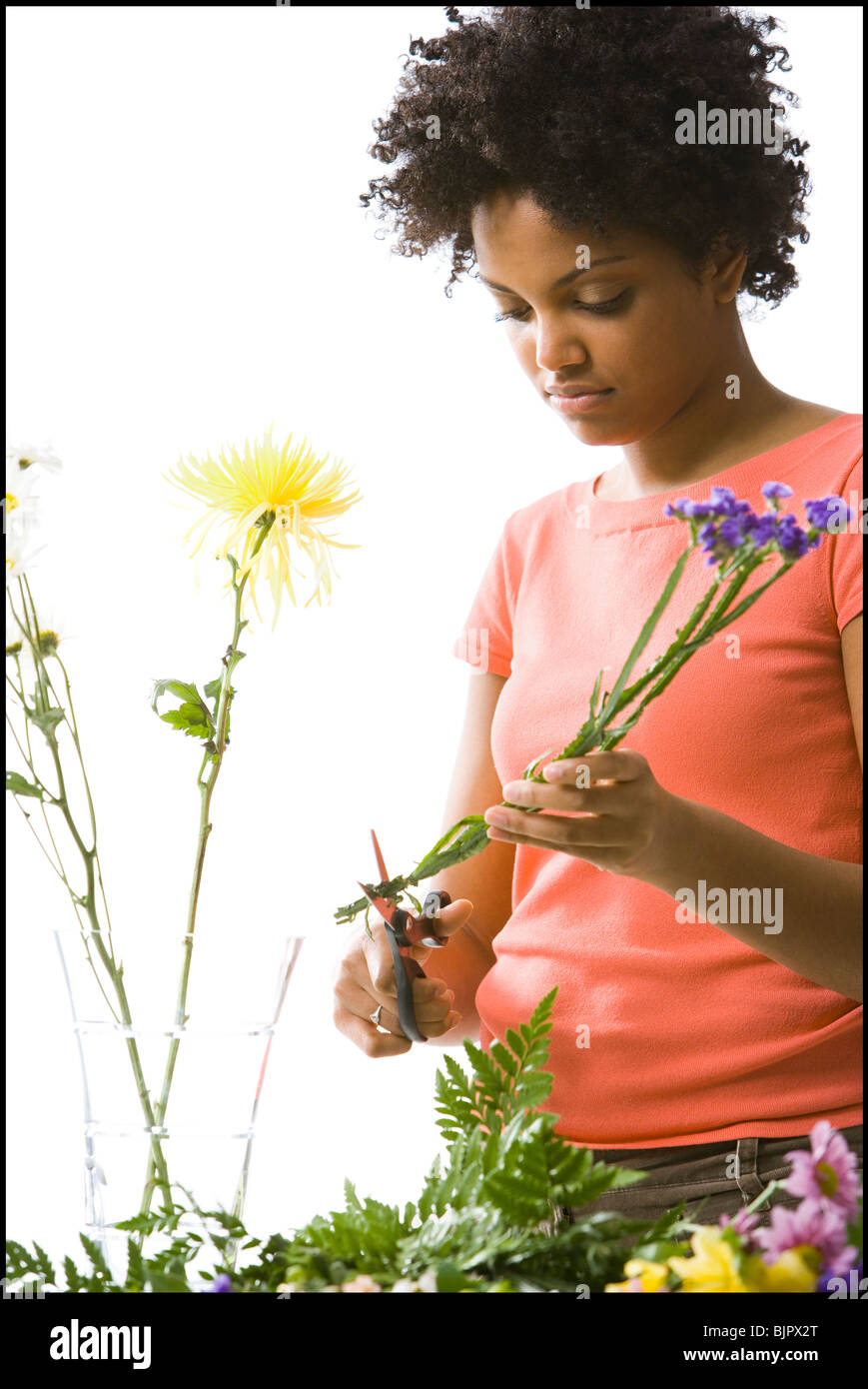 Adult woman female worker arranging flowers hi-res stock photography ...