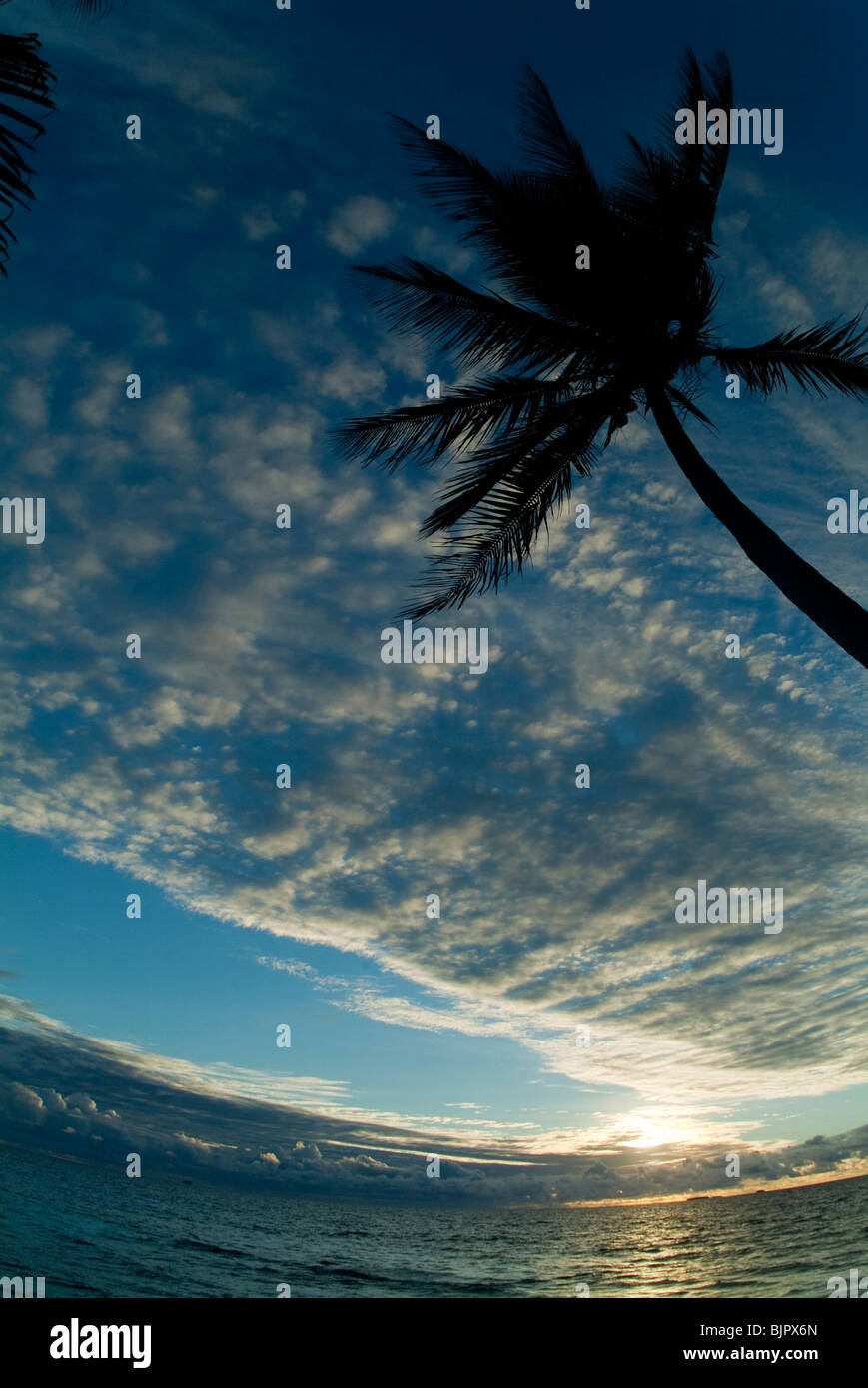 Beautiful sea in Chuuk, Micronesia Stock Photo - Alamy