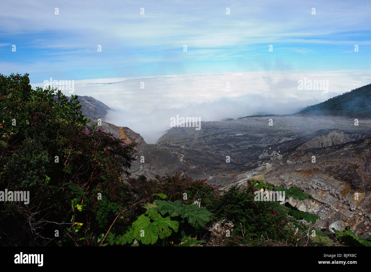 Poas Volcano Lava Fields Stock Photo - Alamy