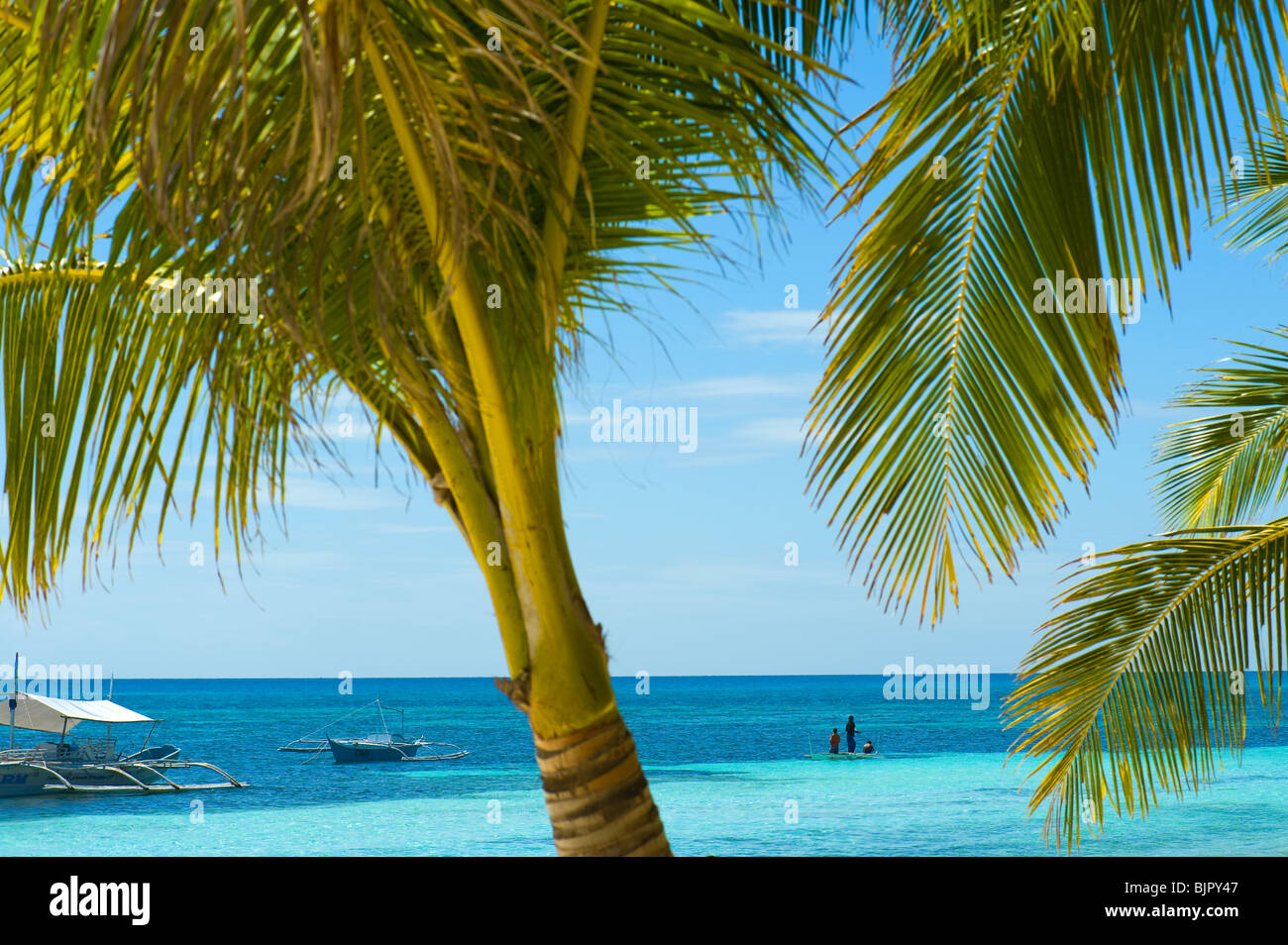 palms Beach Malapascua Island Cebu Philippines Visayan Sea sun sunny ...