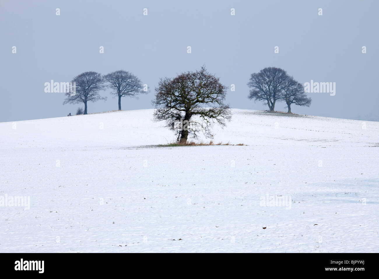 Alvecote hi-res stock photography and images - Alamy