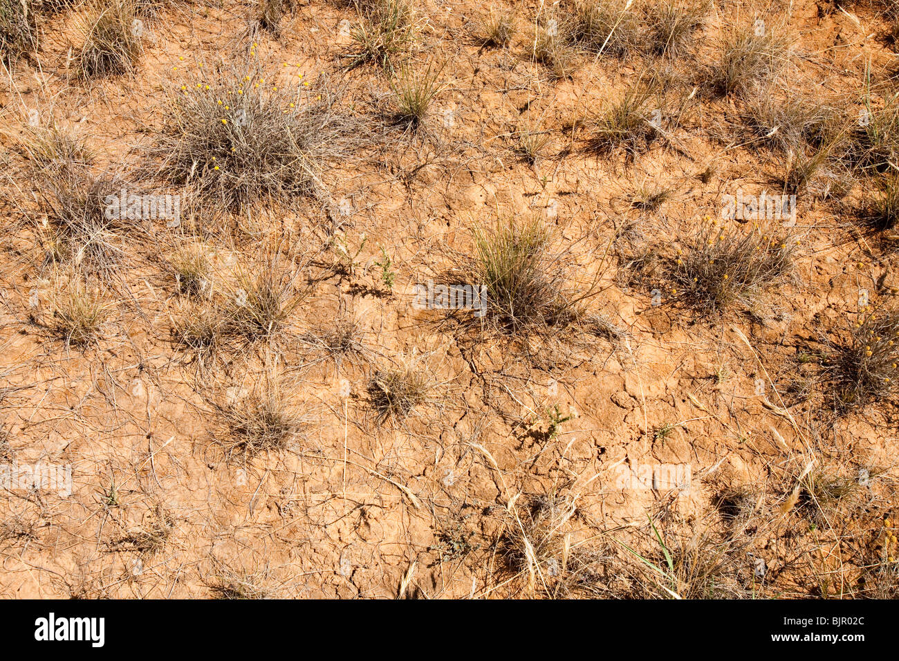 Parched Land Drought Australia High Resolution Stock Photography and ...