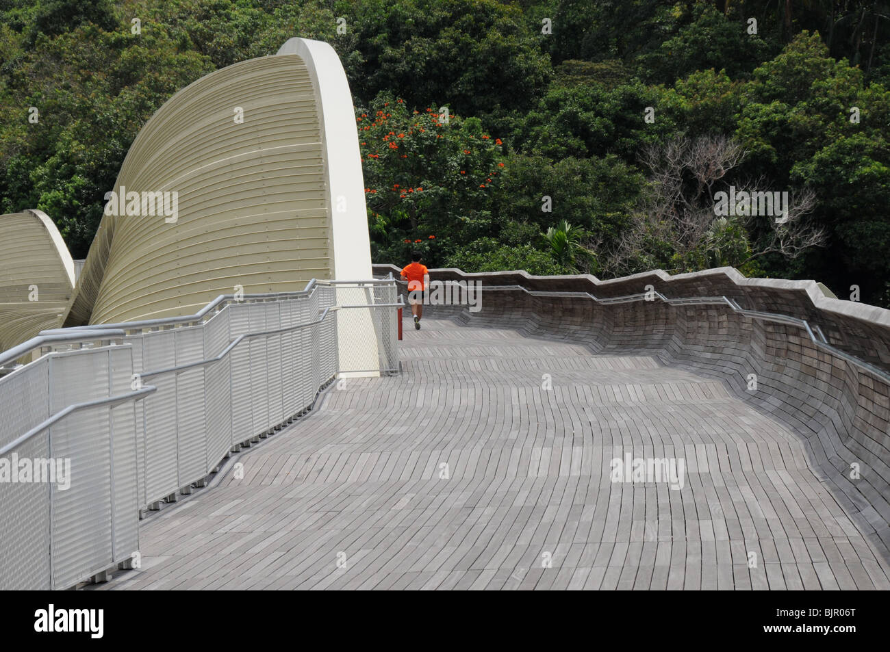 Singapore wave bridge hi-res stock photography and images - Alamy