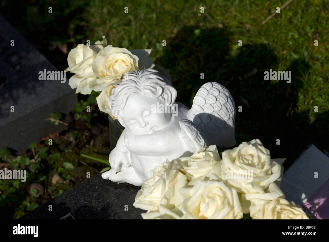 gravestones lit by the sun in a country cemetery Stock Photo - Alamy