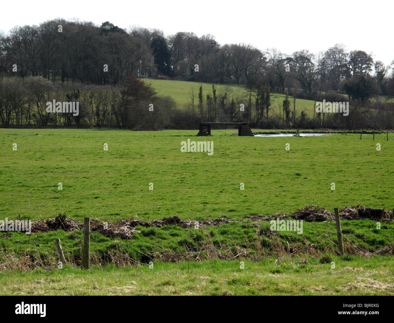 Trees and green grass fields hi-res stock photography and images - Alamy