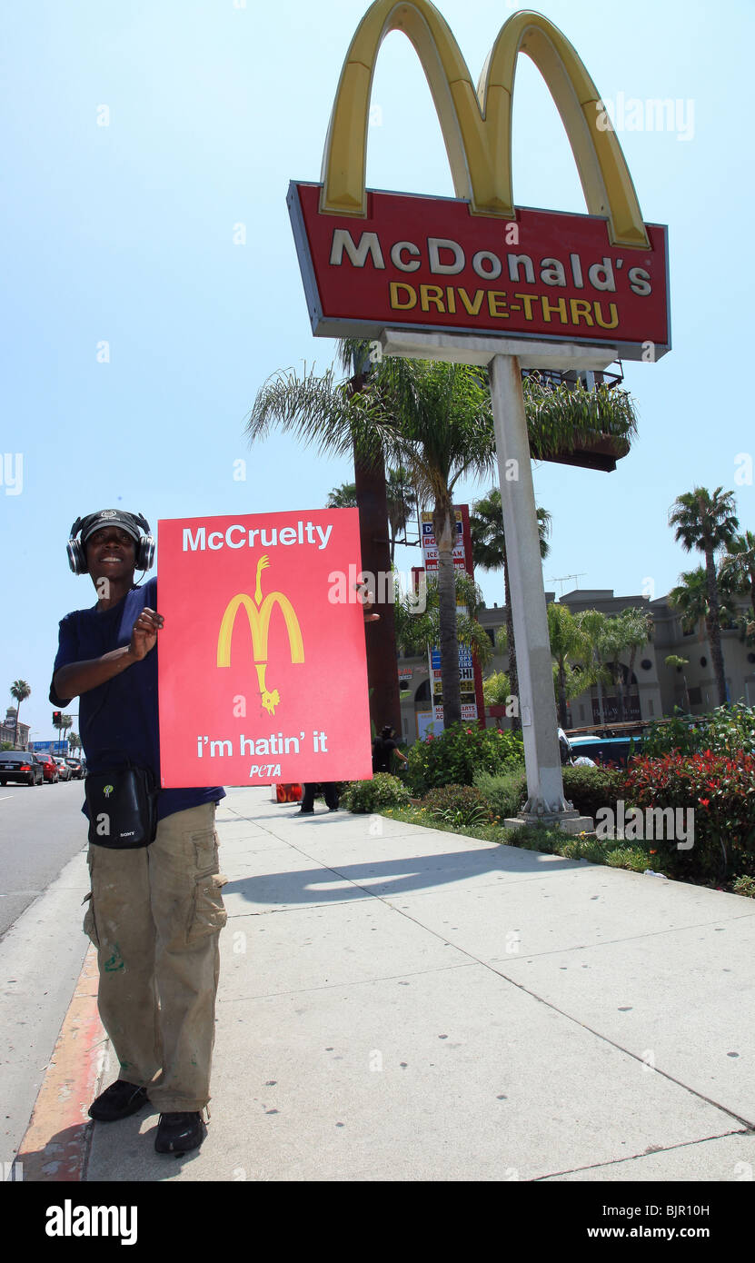 BIKINI CLAD PETA BEAUTIES BIKINI CLAD PETA BEAUTIES SCALDED ALIVE AT A ...