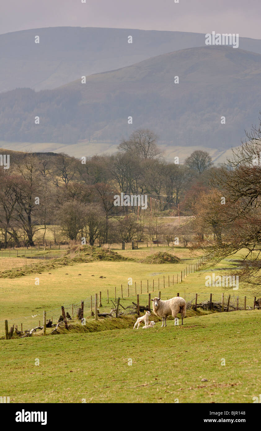 Hodder valley hi-res stock photography and images - Alamy