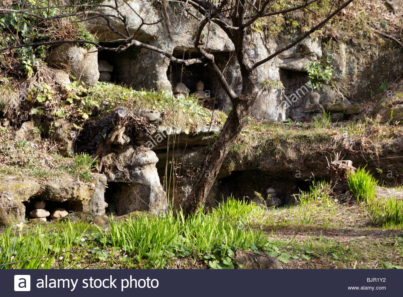 Gorinto Stock Photos & Gorinto Stock Images - Alamy