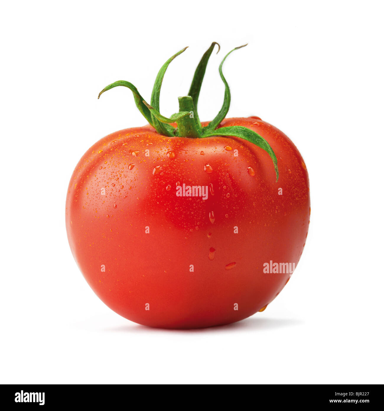Tomato single with drops. The file includes a clipping path ...