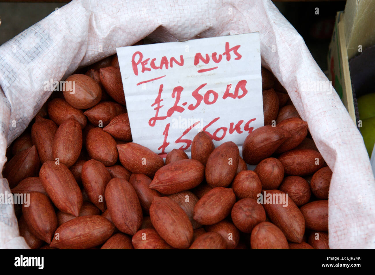 Hickory nuts hi-res stock photography and images - Alamy