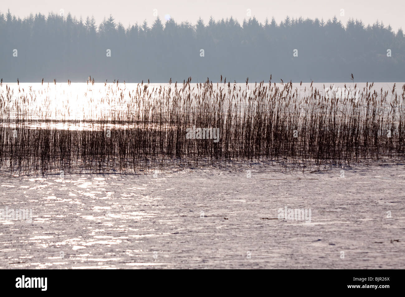 Sun reflecting on frozen lake hi-res stock photography and images - Alamy
