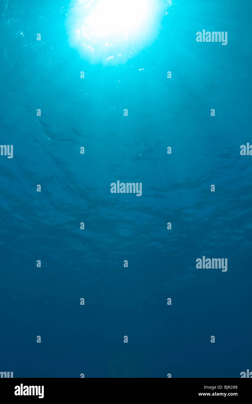 Sunlight coming from surface, underwater view Stock Photo - Alamy