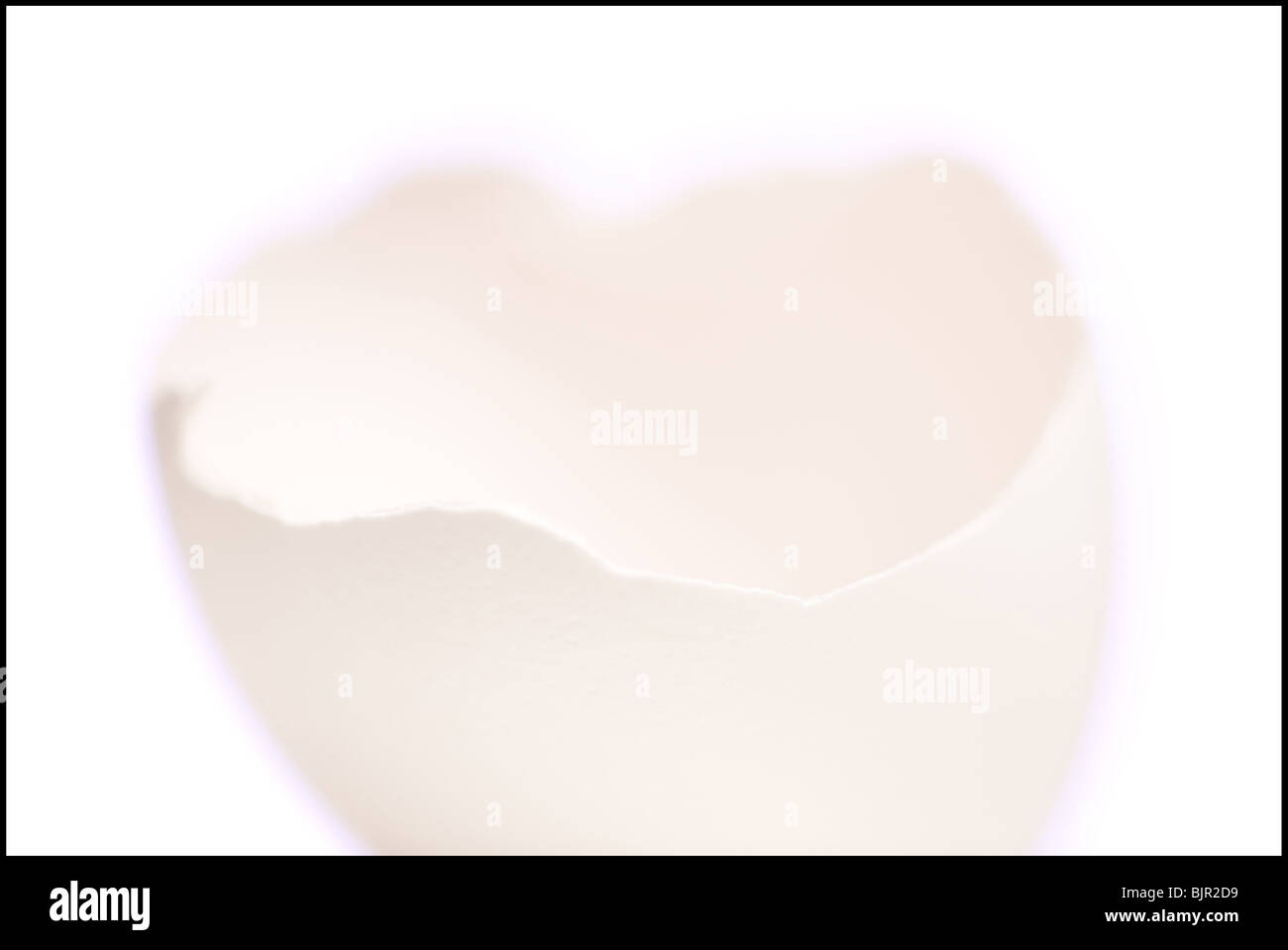 Half an egg shell Stock Photo - Alamy