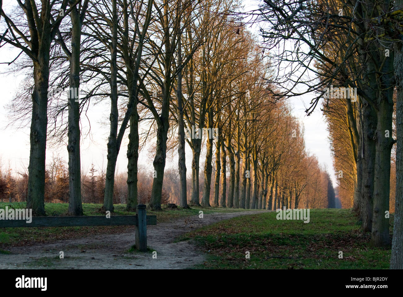Versailles Park High Resolution Stock Photography and Images - Alamy