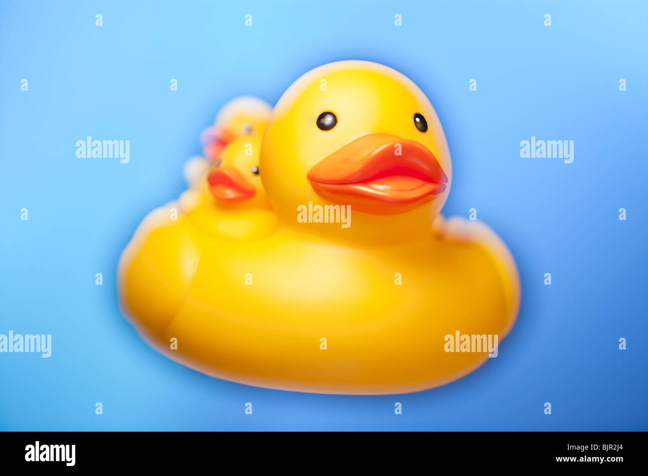 Rubber duck bath tub hi-res stock photography and images - Alamy