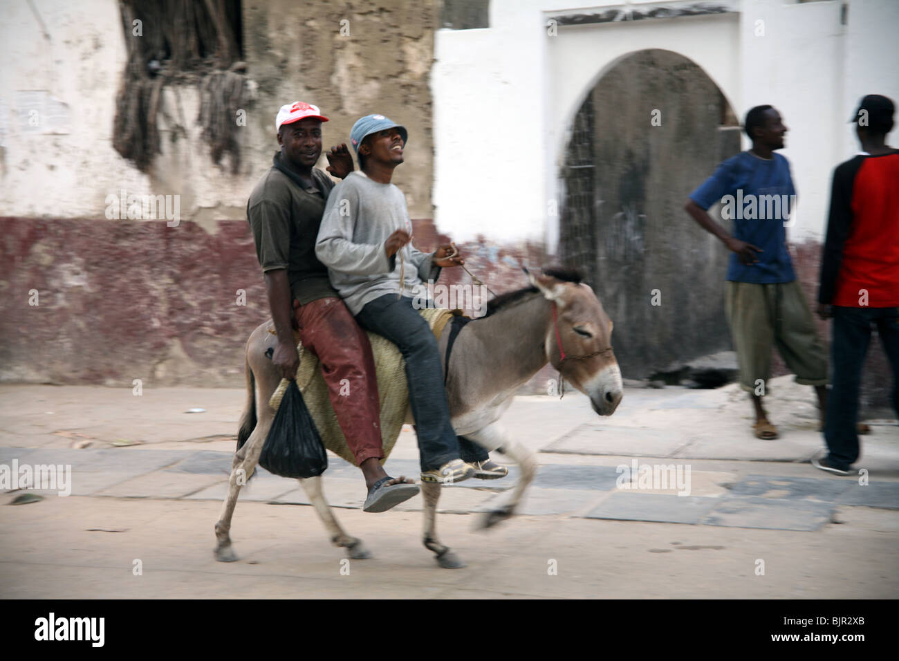 Donkey on streets town hi-res stock photography and images - Alamy