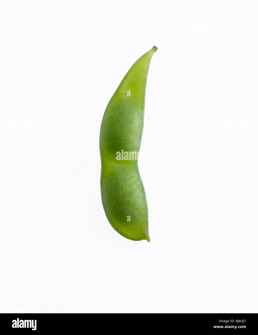 Steamed bean pods hi-res stock photography and images - Alamy