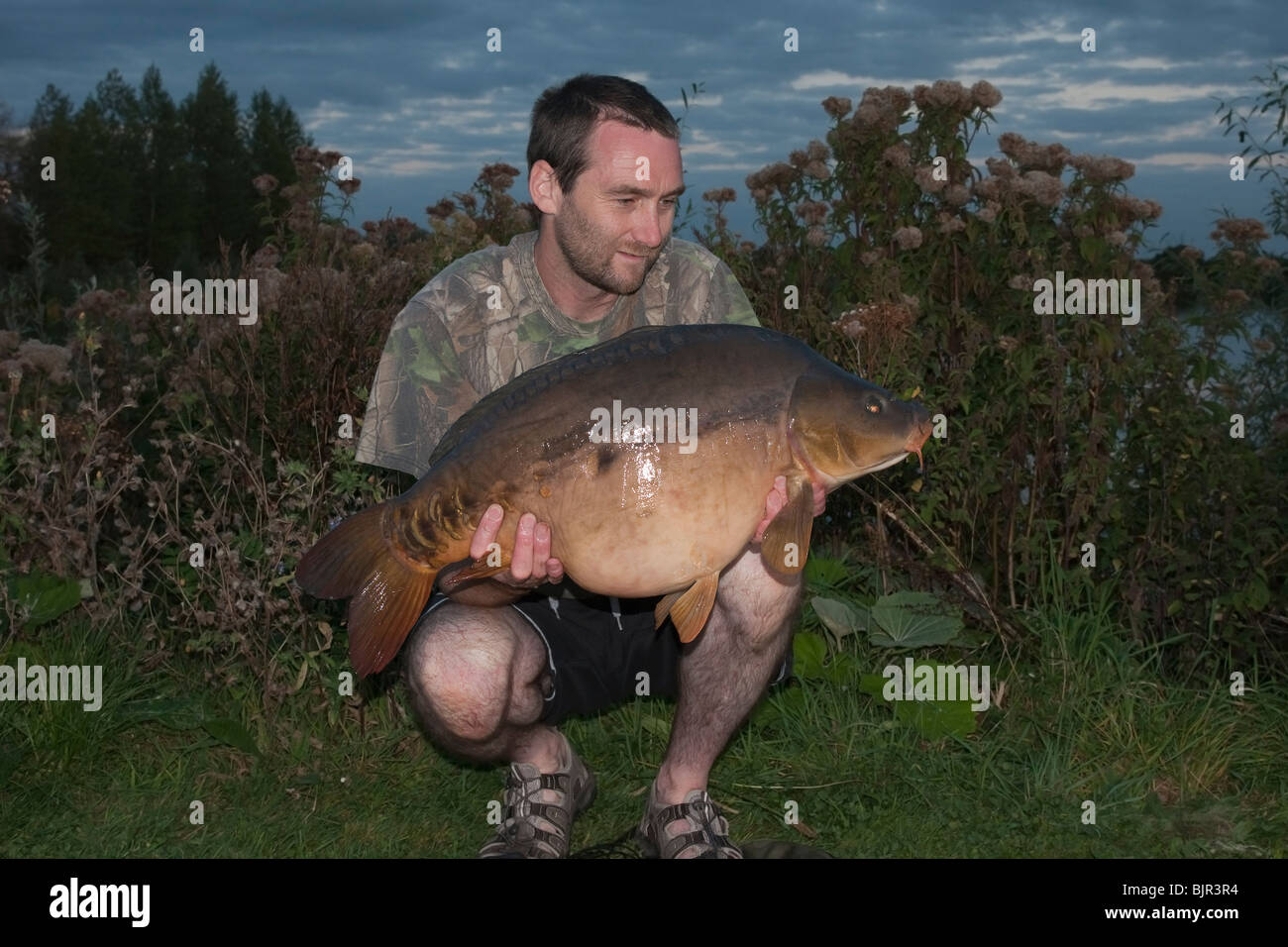 Mirror carp hi-res stock photography and images - Alamy