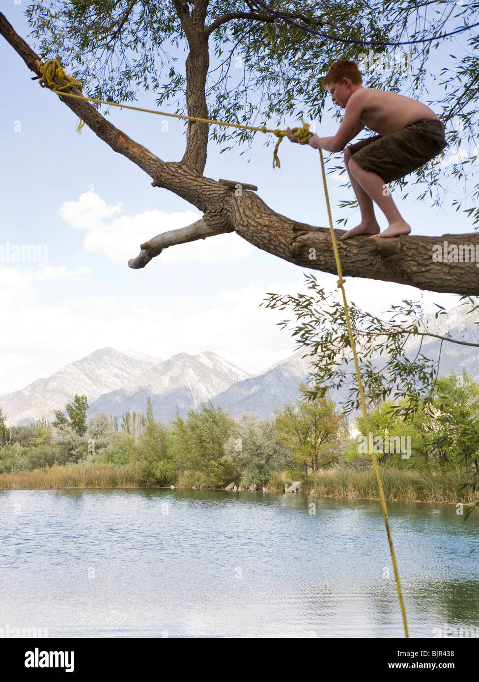 boy on a tree above a lake Stock Photo - Alamy