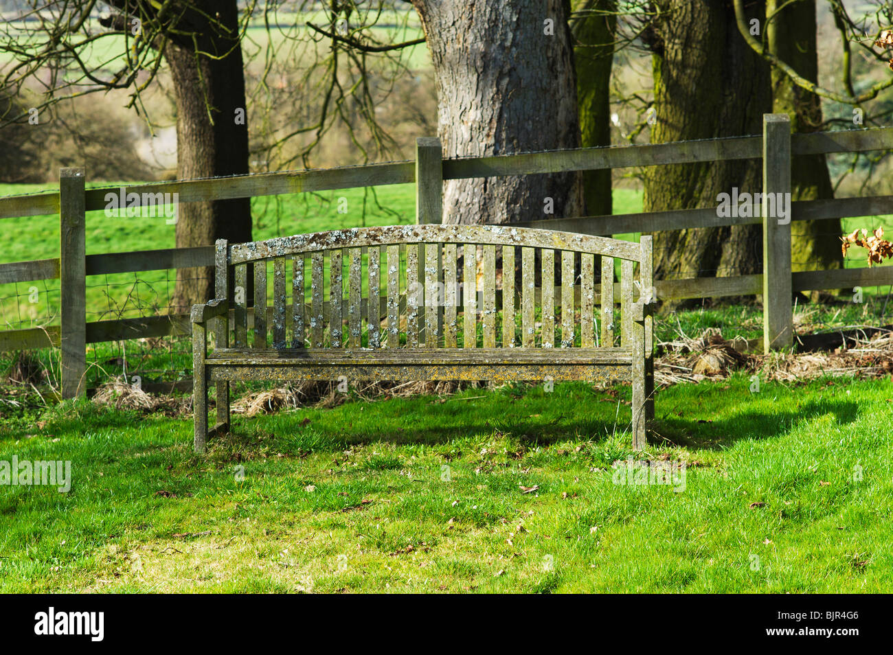 a bench in a country garden Stock Photo - Alamy