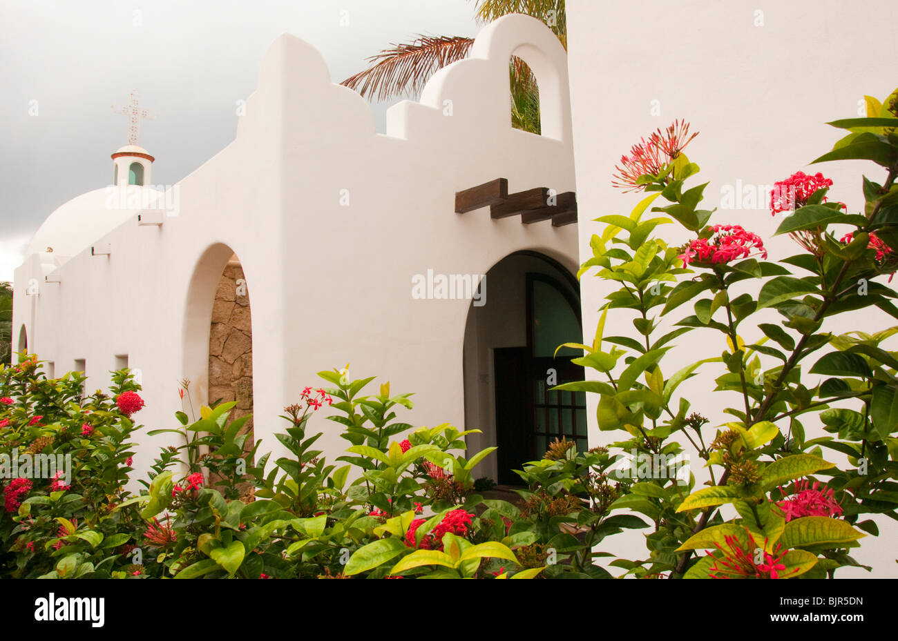 Exterior of Catholic Church bordered by colorful red flowers and plants ...