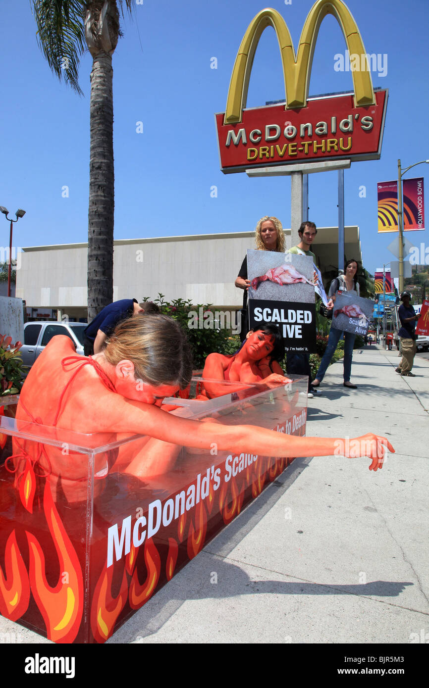 BIKINI CLAD PETA BEAUTIES BIKINI CLAD PETA BEAUTIES SCALDED ALIVE AT A ...