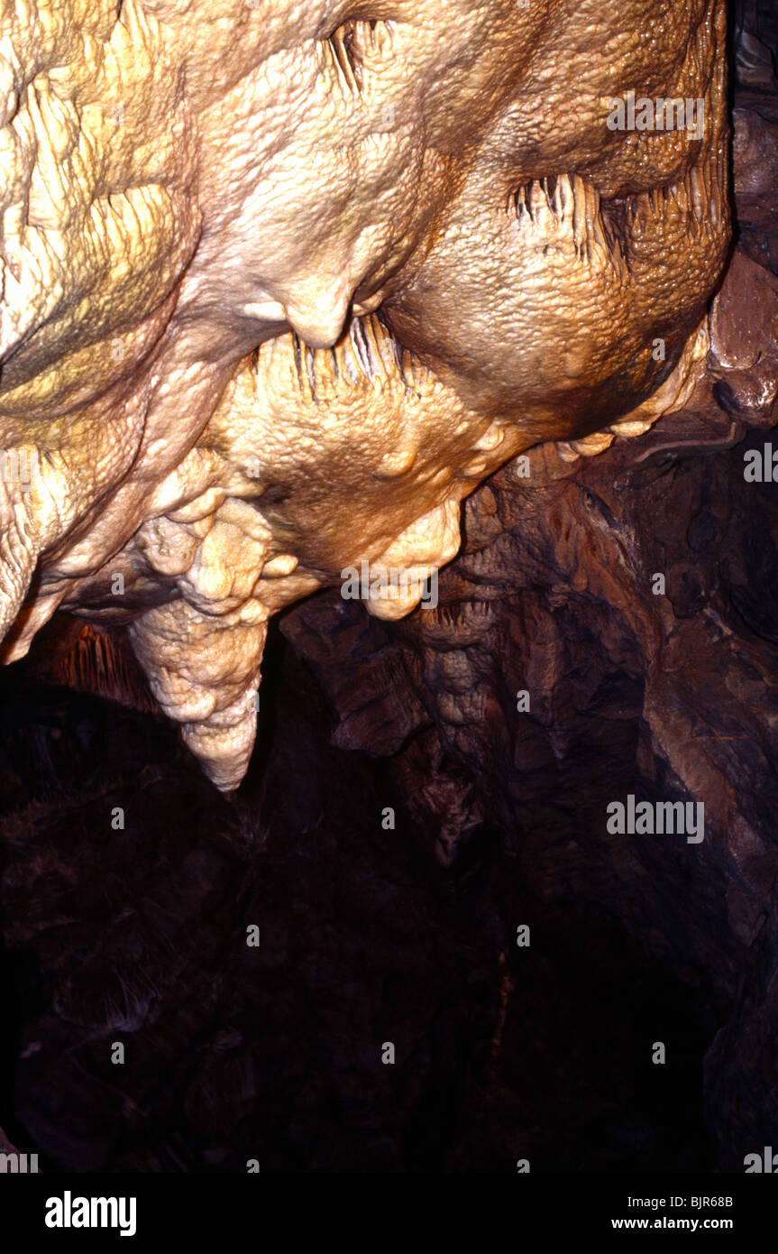 Cheddar Gorge Somerset Stalagmites Goughs Caves In Cheddar Caves Stock ...