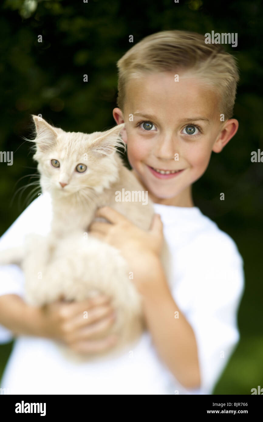Cat posed hi-res stock photography and images - Alamy