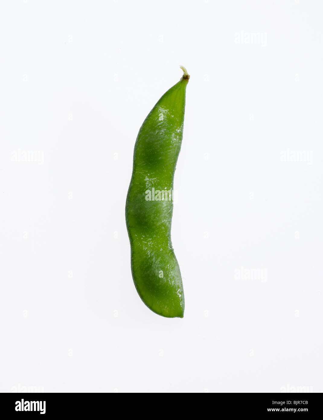 Soybean pod hi-res stock photography and images - Alamy
