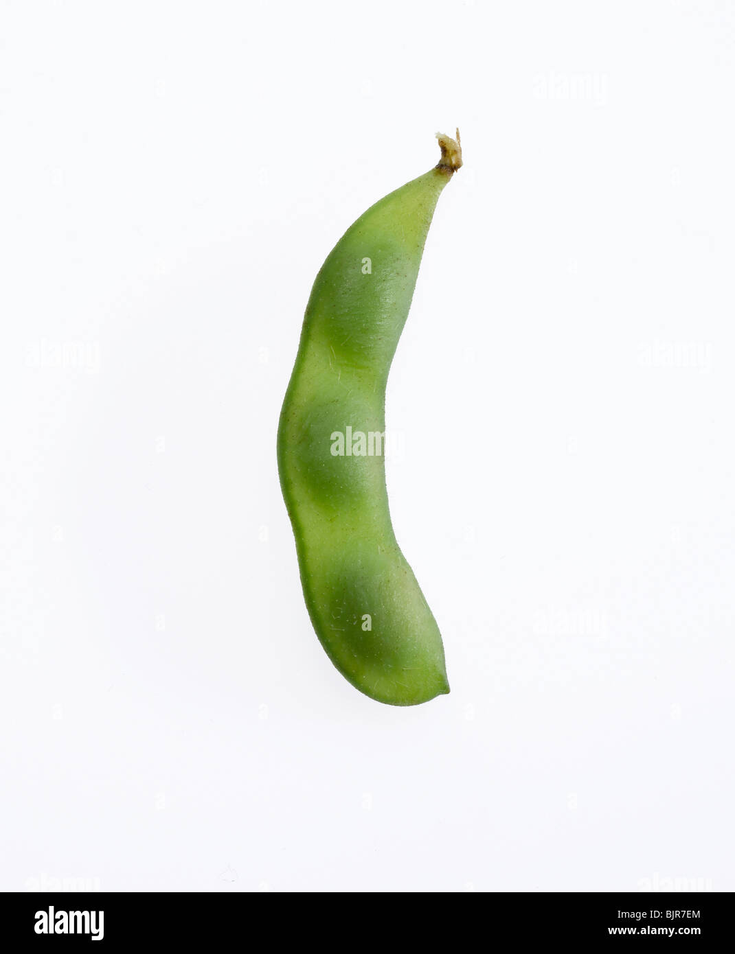 Pod of hi-res stock photography and images - Alamy