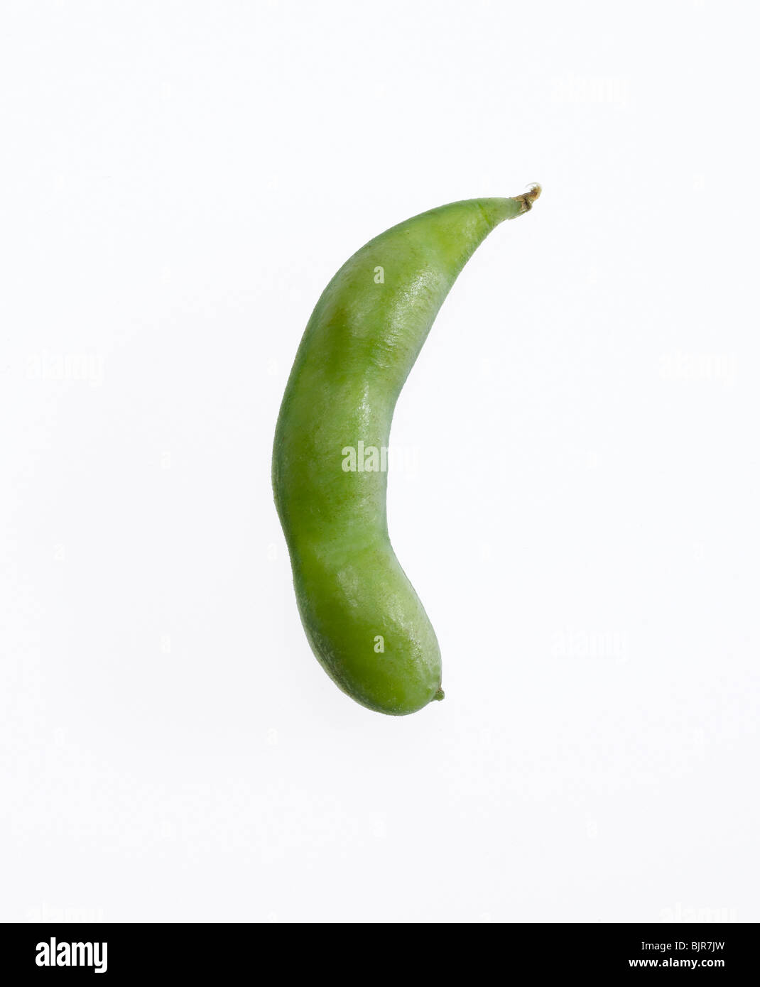 Single Soybean Pod How To Grow Soybeans: Edamame From Scratch Epic