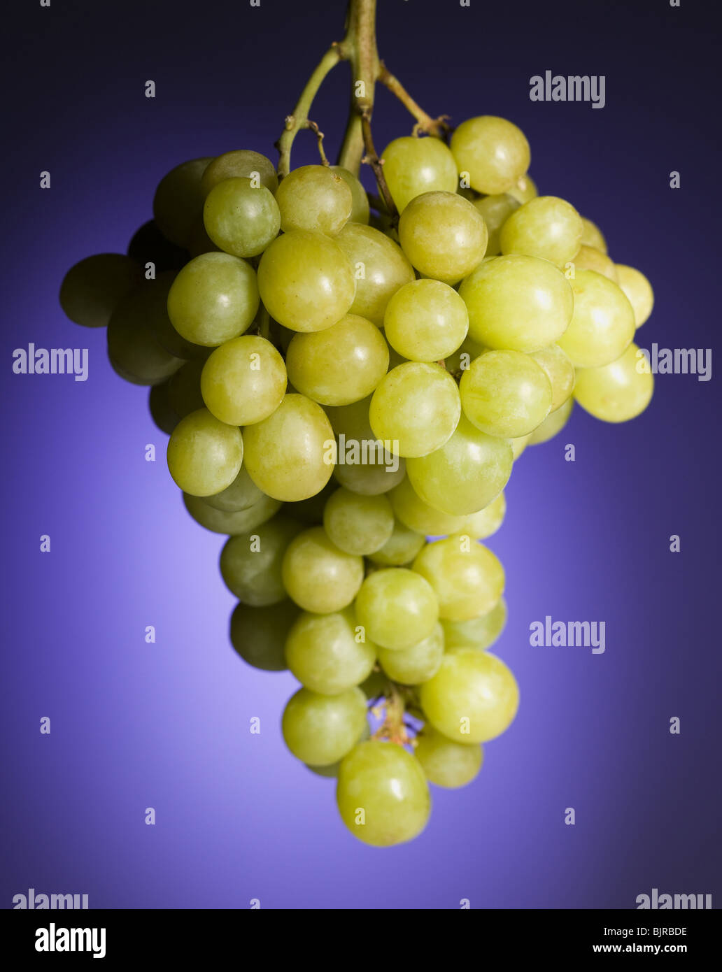 Bunch of grapes Stock Photo - Alamy