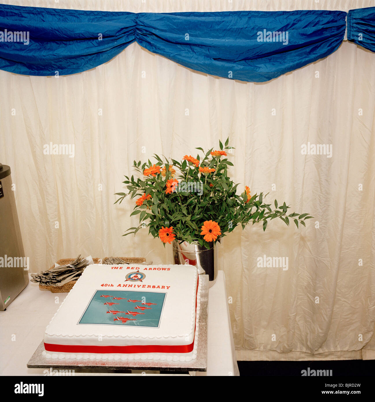 An iced gateau helps celebrate RAF's Red Arrows aerobatic team's 40th ...
