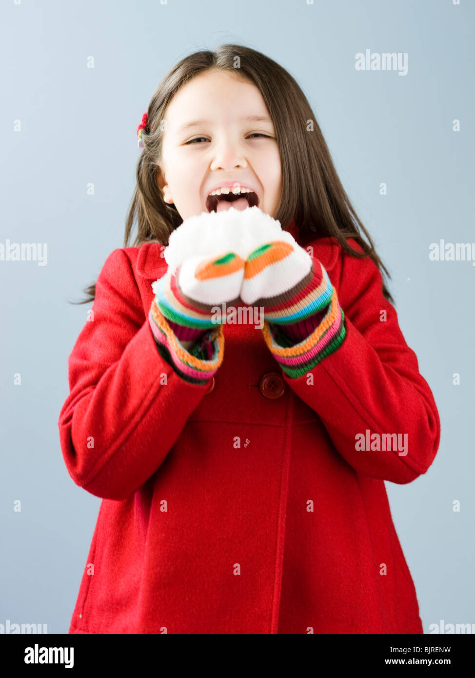 Coat licking hi-res stock photography and images - Alamy