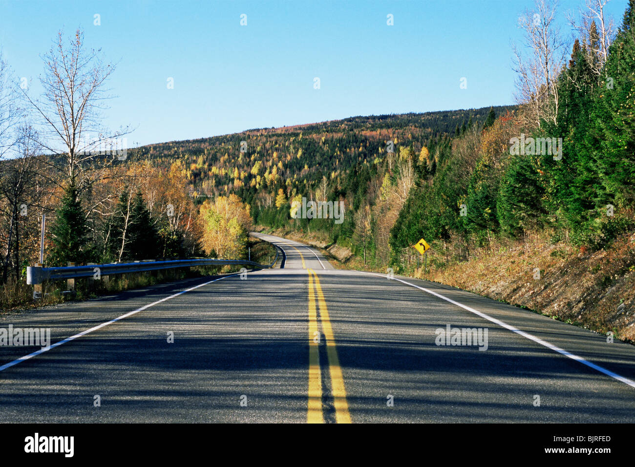 Highway through the forest hi-res stock photography and images - Alamy