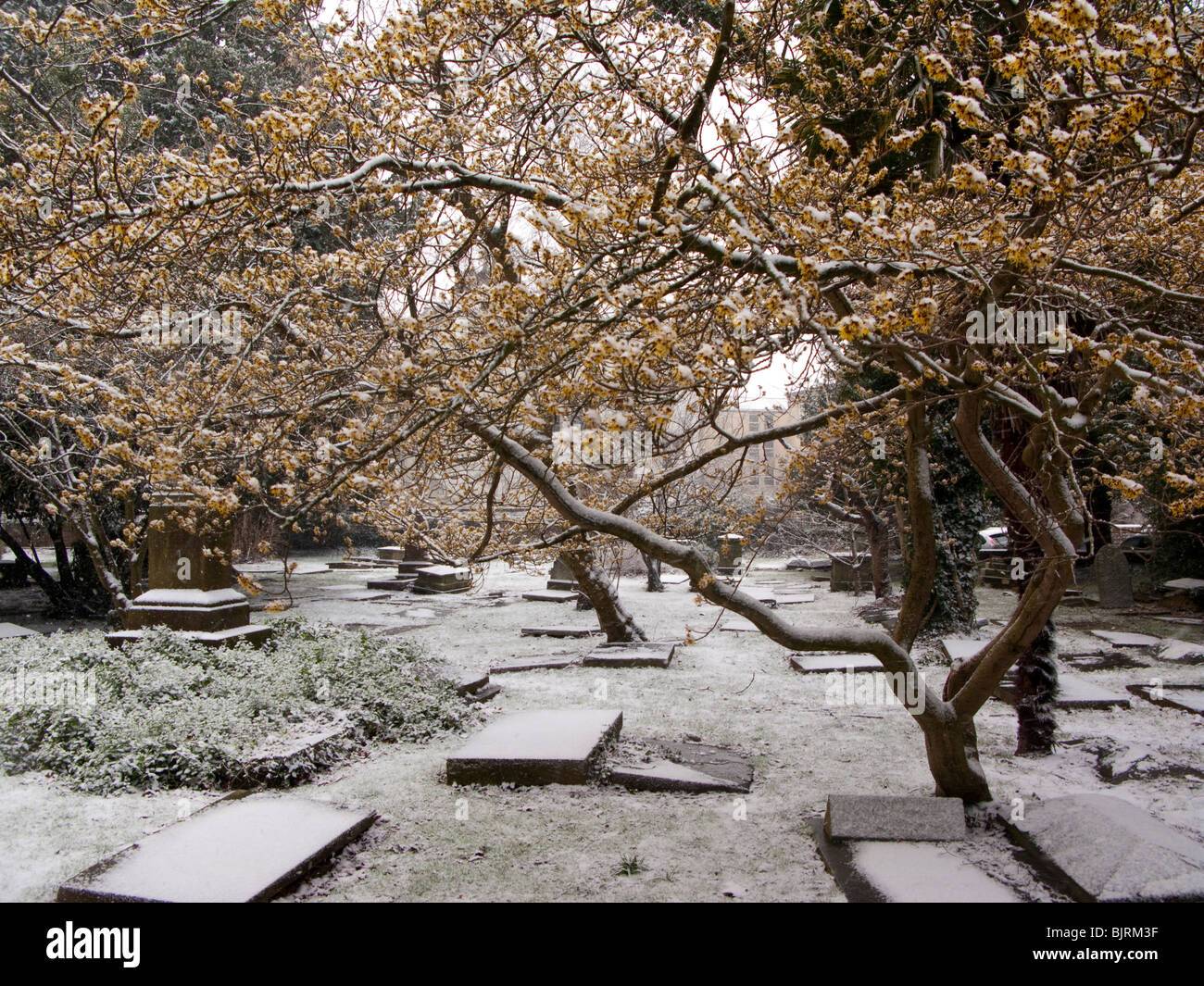 Graveyard in snow hi-res stock photography and images - Alamy