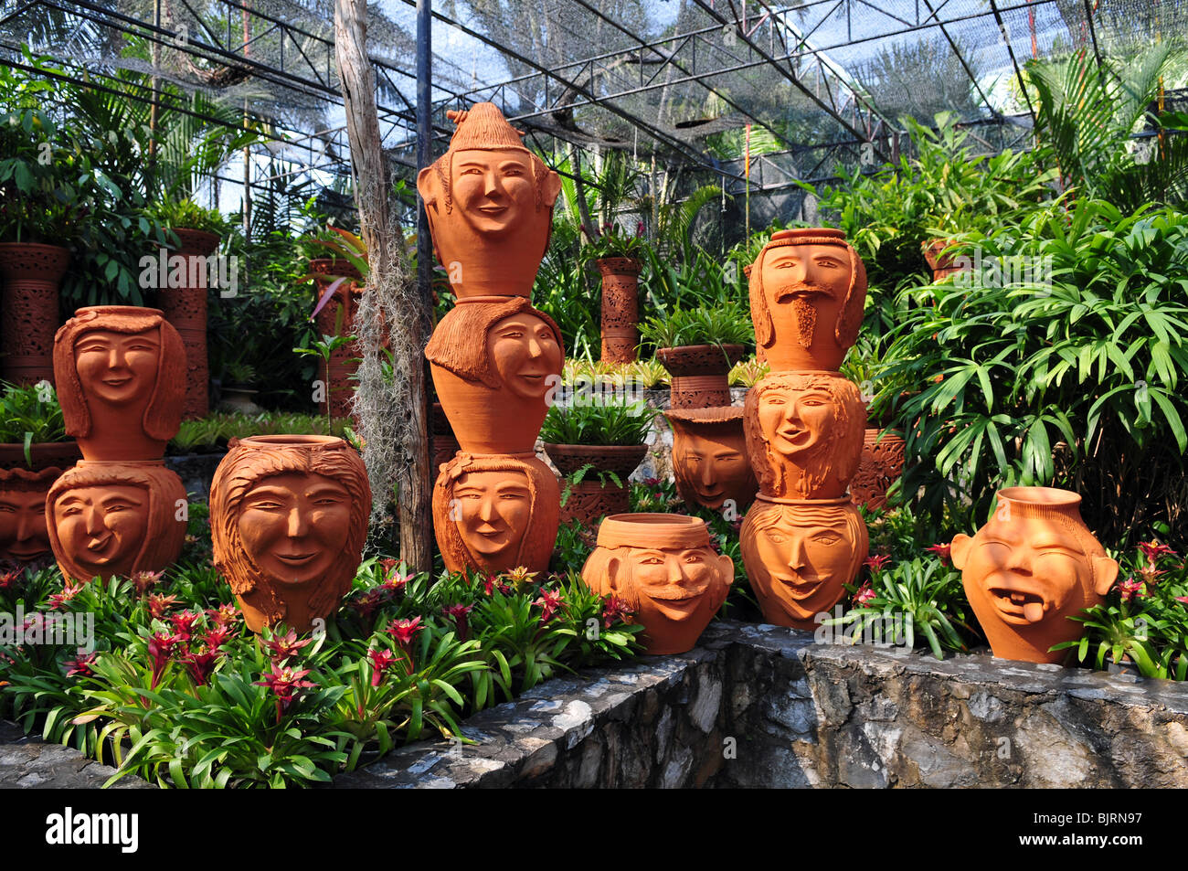 Nong nooch hi-res stock photography and images - Alamy