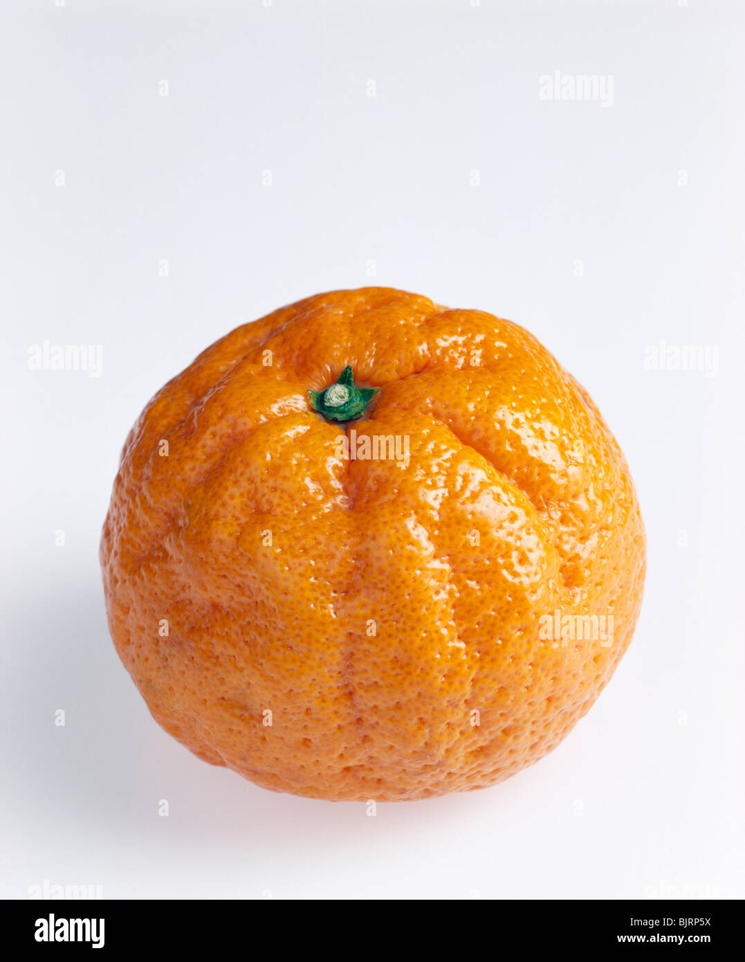 Satsuma cutout hi-res stock photography and images - Alamy