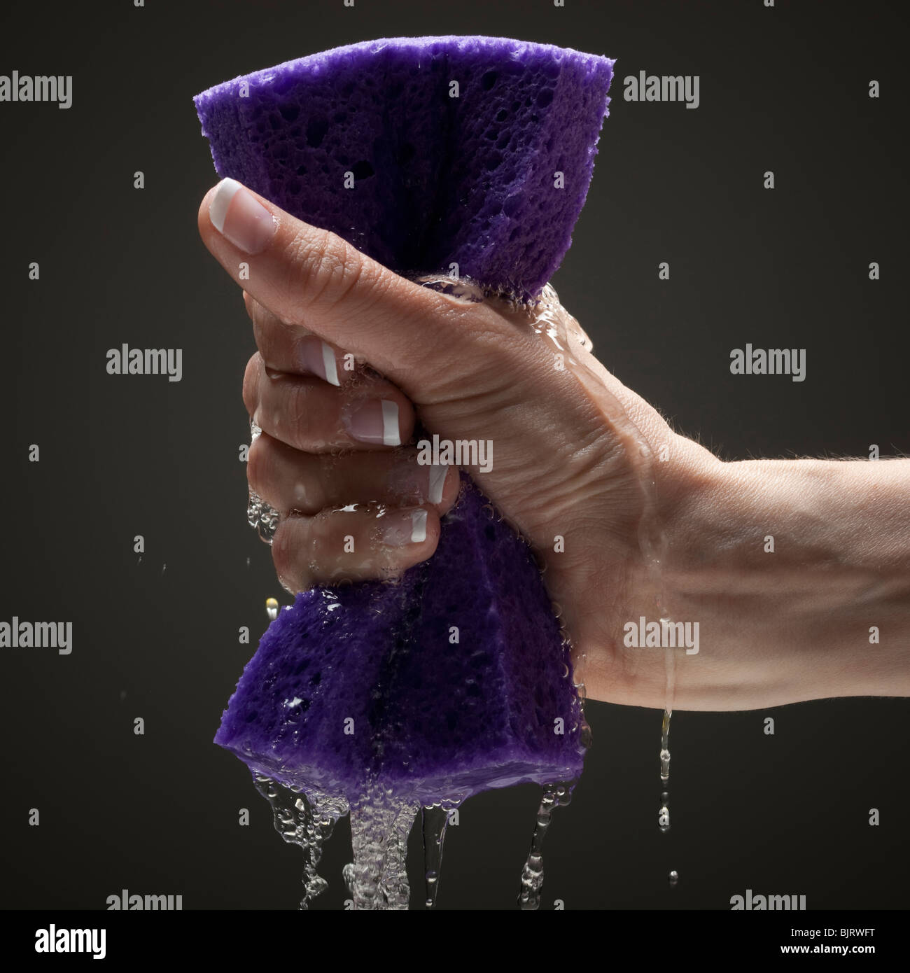 Hand holding a sponge Stock Photo - Alamy