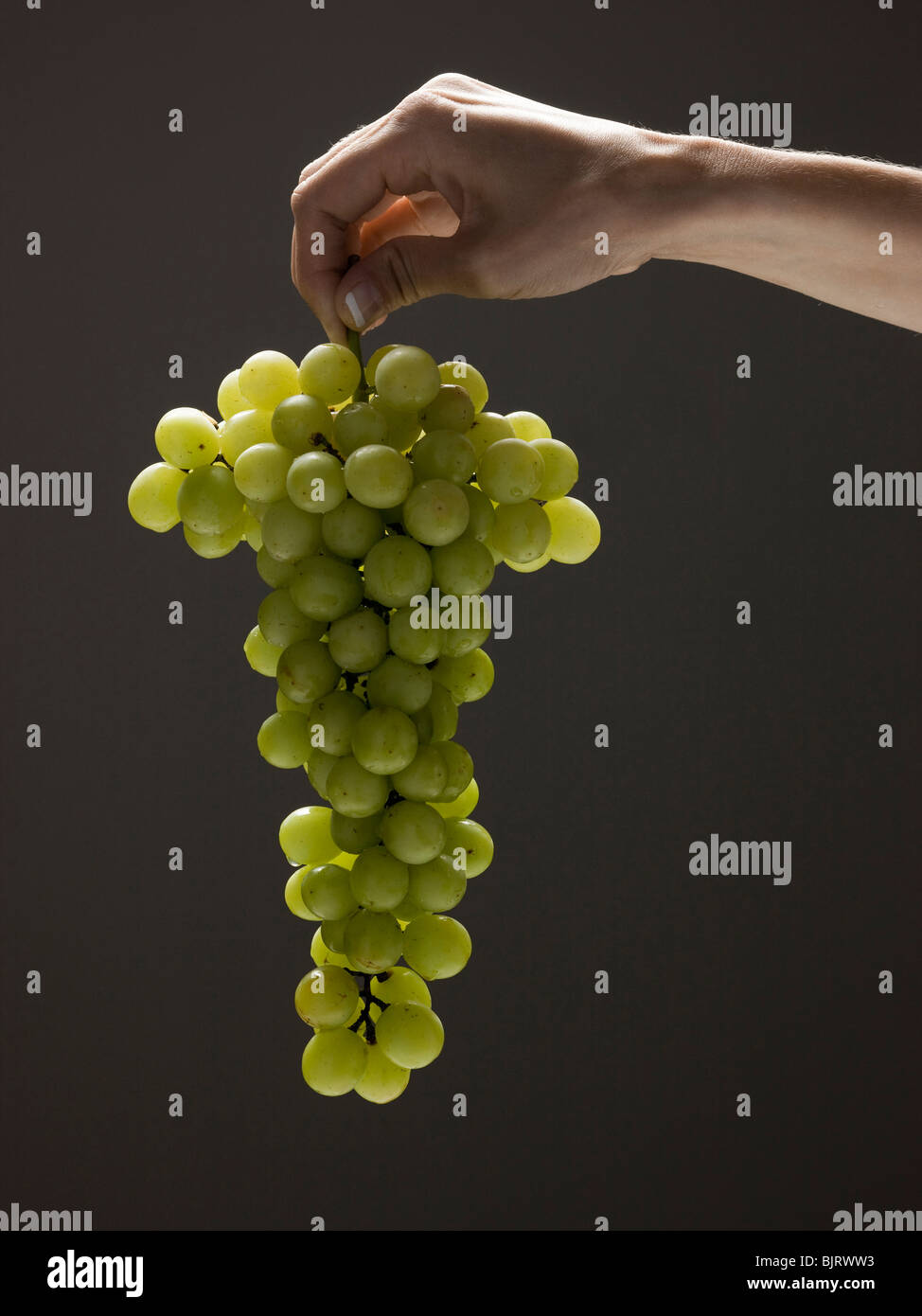 Hand holding grapes Stock Photo - Alamy