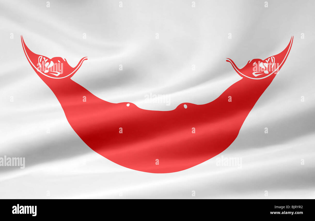 Large flag of Rapanui Stock Photo - Alamy