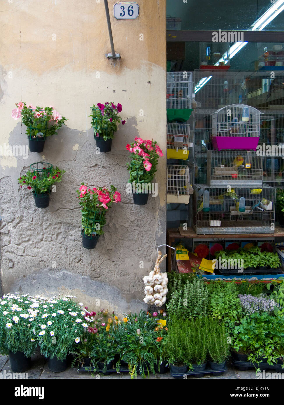 Flower shop italy hi-res stock photography and images - Alamy