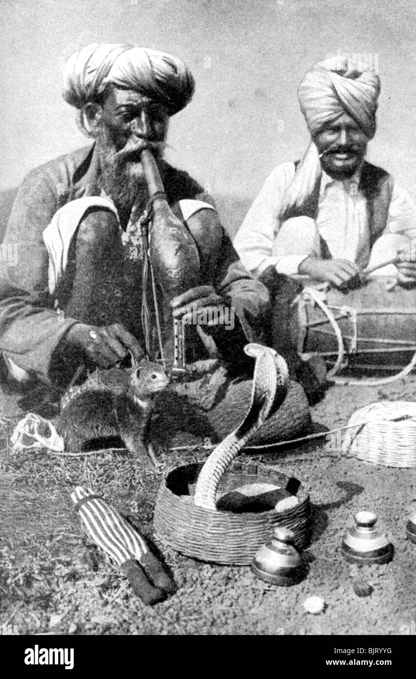 Charming the venom from a cobra; a snake charmer with a mongoose, India ...