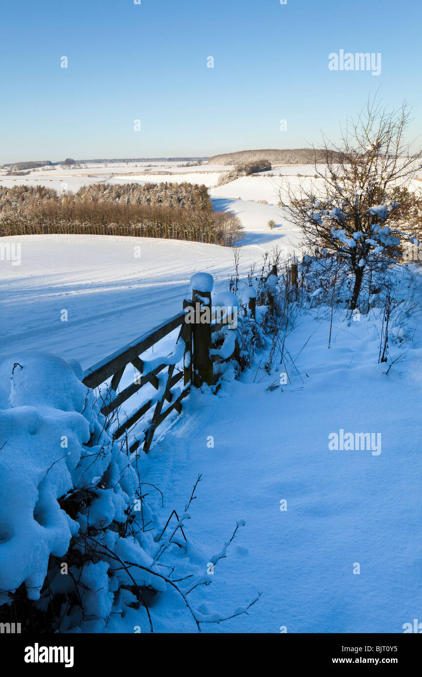 Aston blank hi-res stock photography and images - Alamy