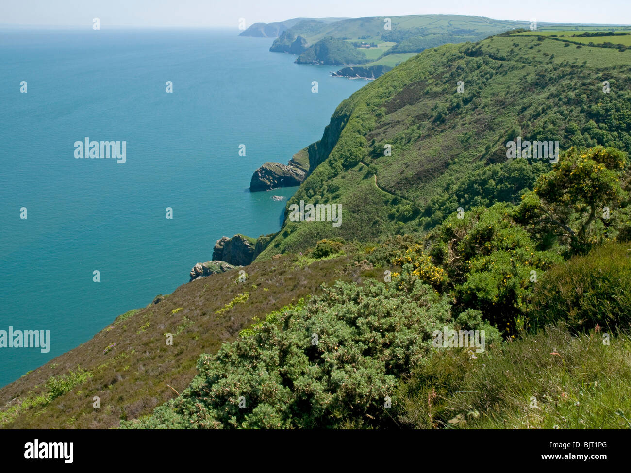 On the South West Coast Path in north Devon, looking east towards ...
