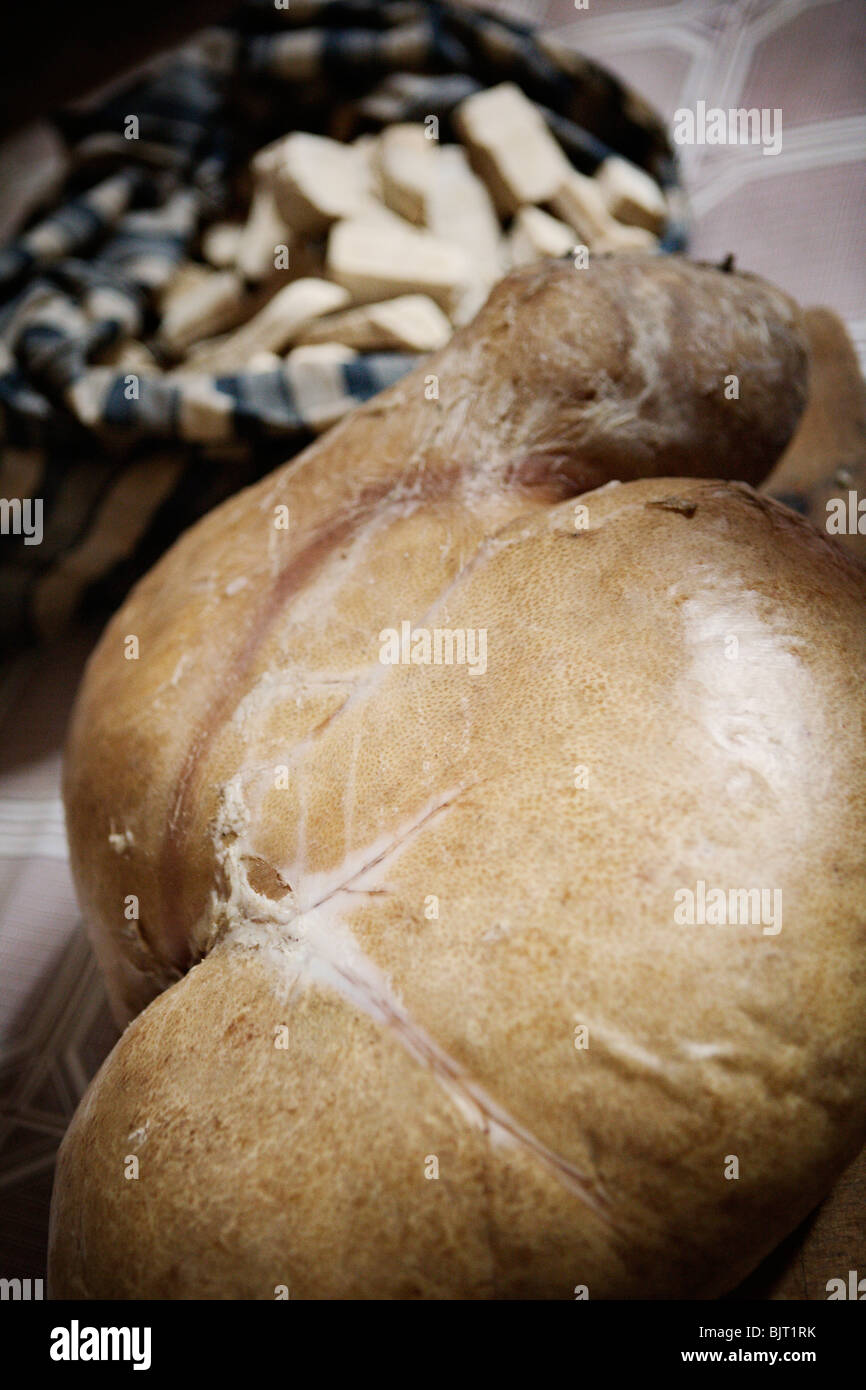 Stomach stone hi-res stock photography and images - Alamy