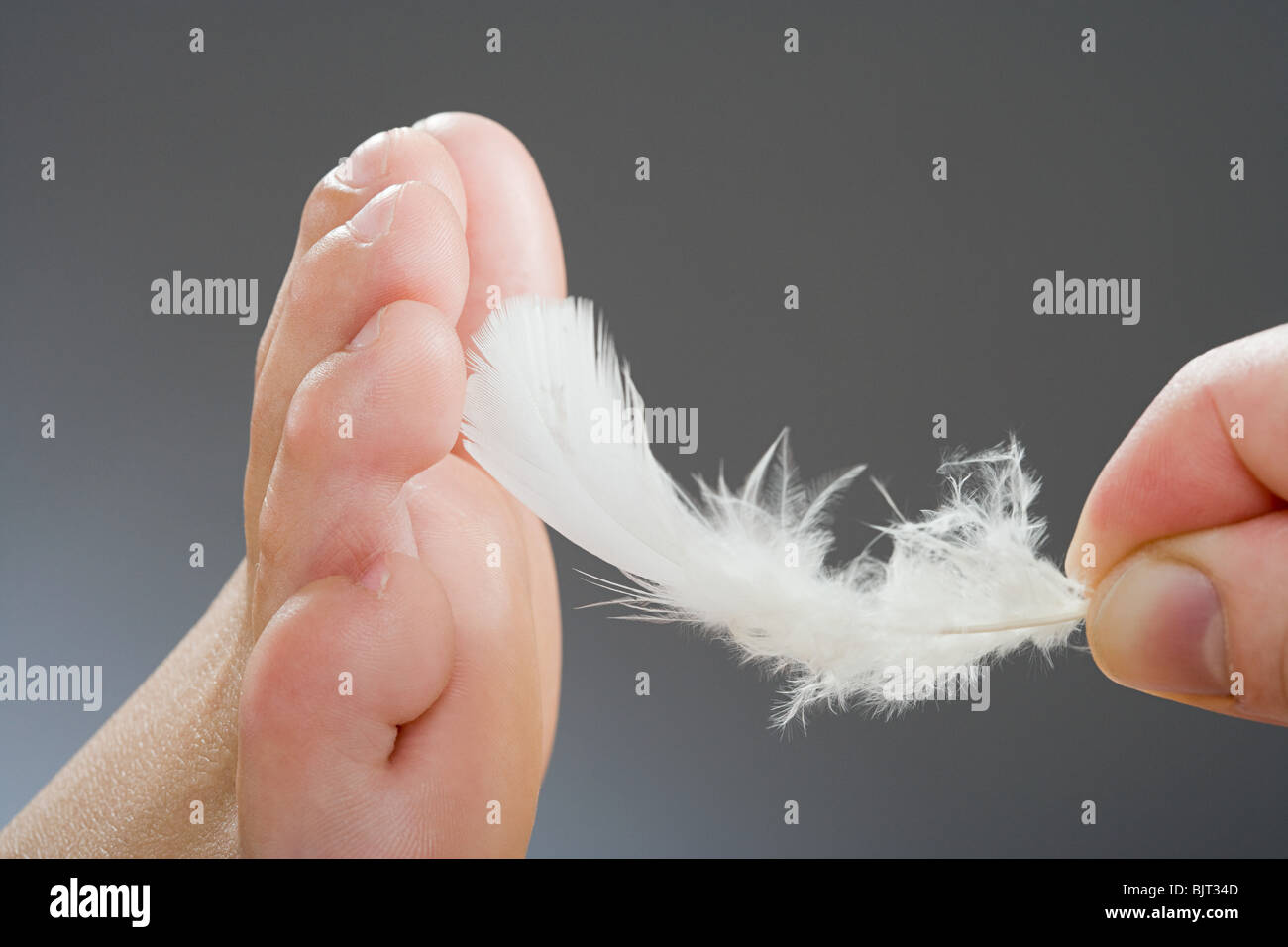 Foot tickling feather hi-res stock photography and images - Alamy Foot tickling feather hi-res stock photography and images - Alamy