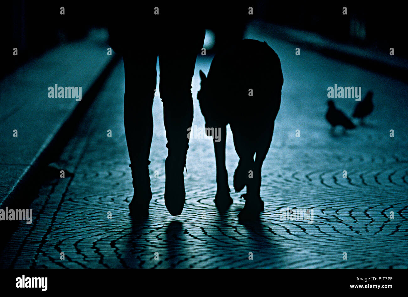 A person walking their dog Stock Photo - Alamy
