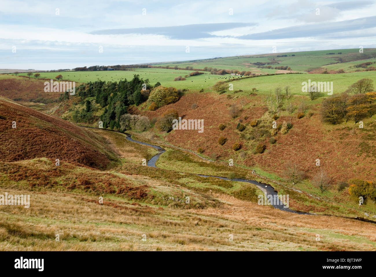 Autumn on Exmoor - the River Barle at Cornham Brake, SW of Simonsbath ...